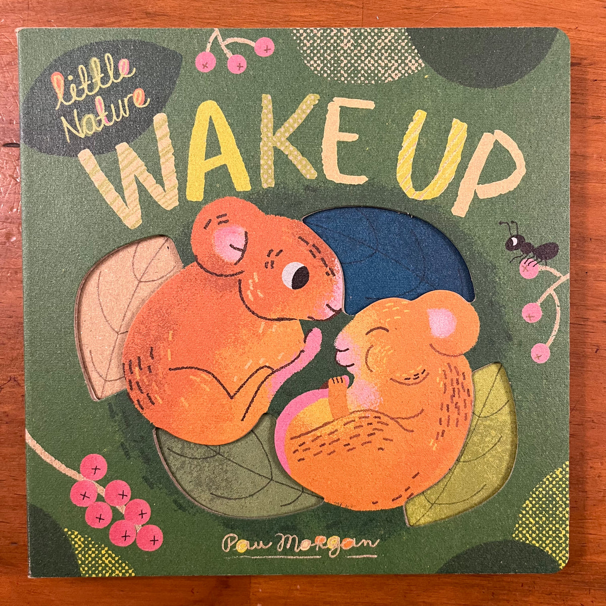 Otter, Isabel - Wake Up (Board Book) – Mockingbird Lounge