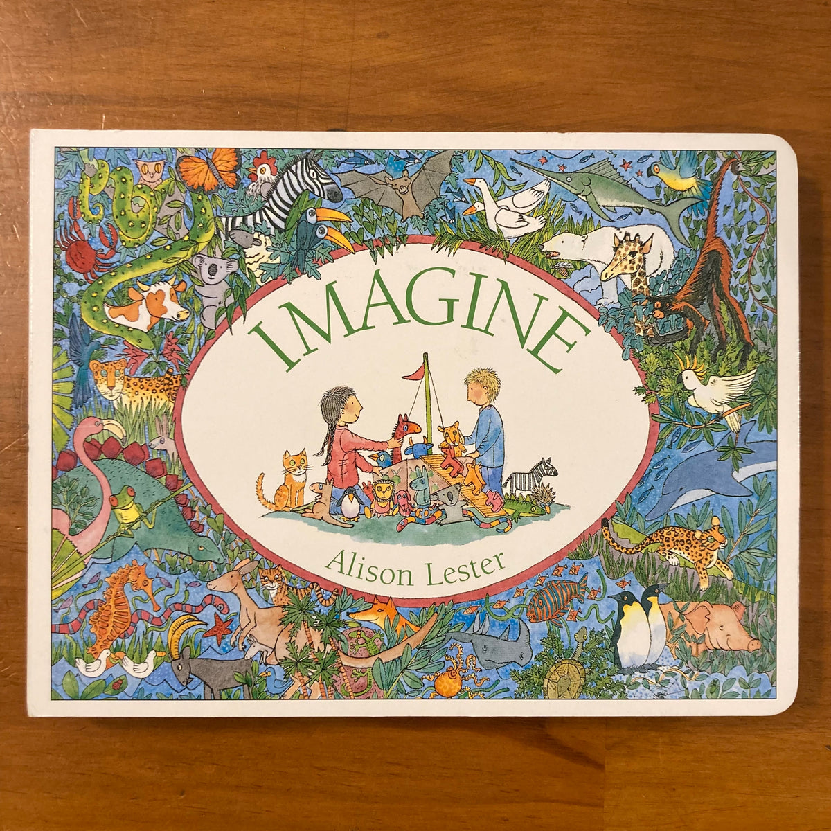 Lester, Alison - Imagine (Board Book) – Mockingbird Lounge
